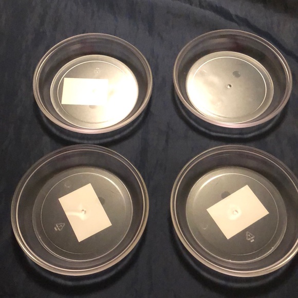 Allen & Roth | Accents | Flower Pot Saucers | Poshmark